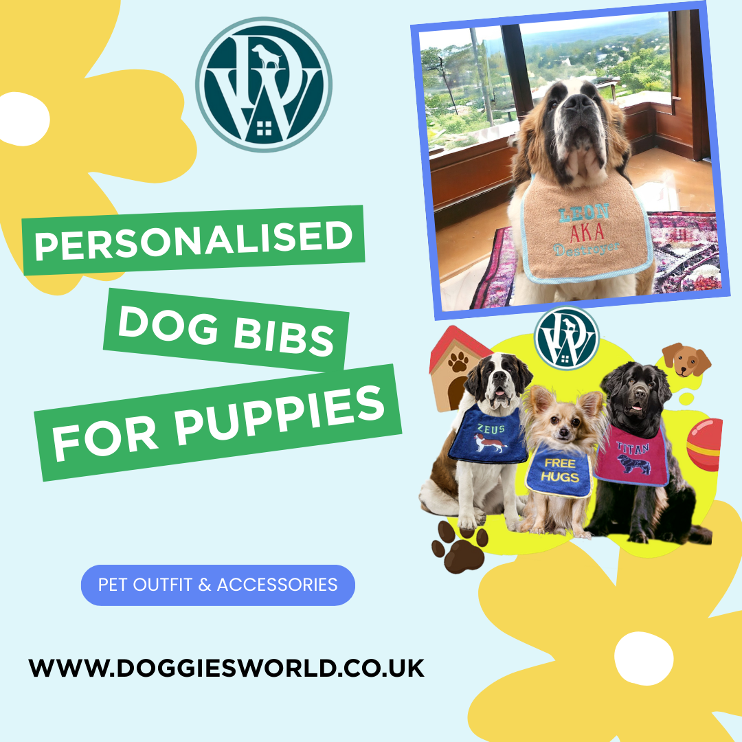 Personalized Dog Bibs UK – Unique Accessories by Doggies World - Gifyu